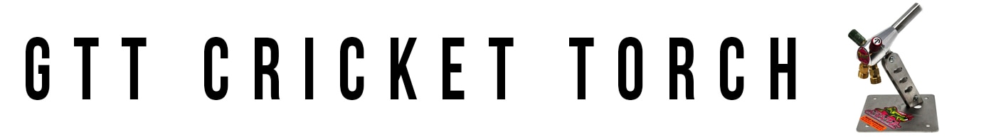 GTT Torches - Glass Torch Technologies